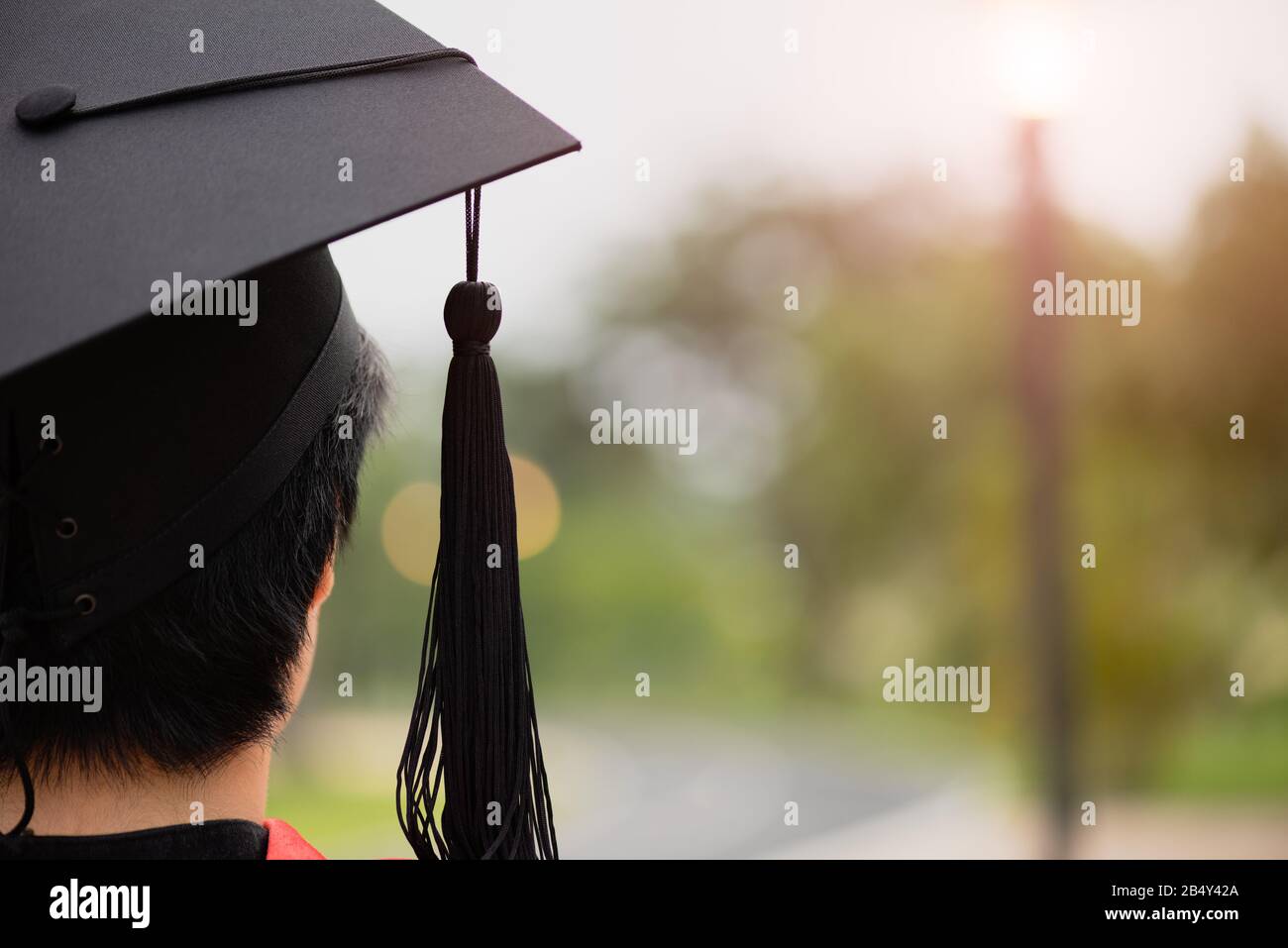 Graduation. Rear view of the student with university graduates crowded ...