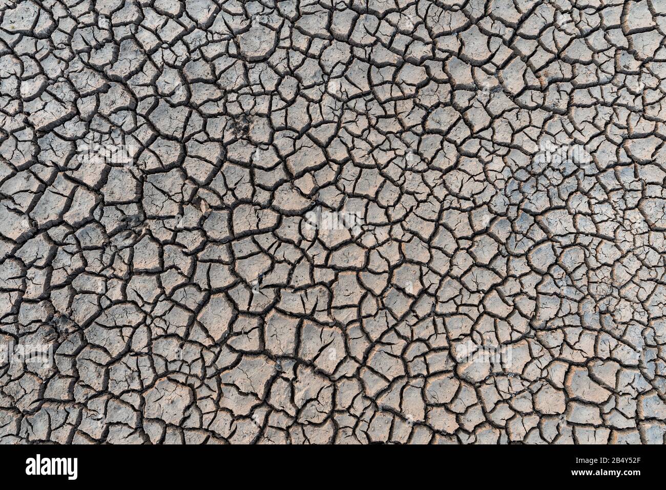 Details of a dried cracked earth soil ground background Stock Photo - Alamy