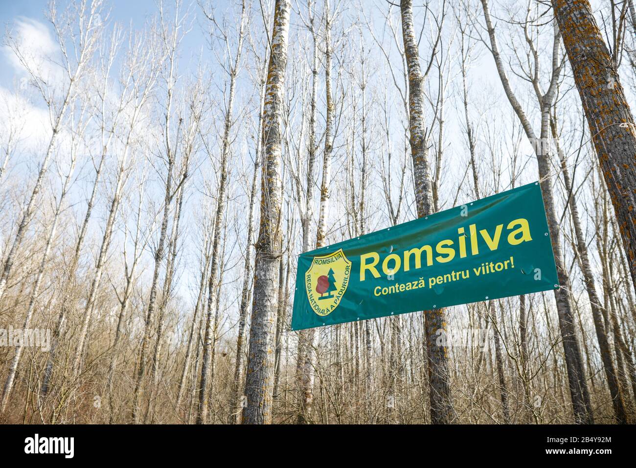 Soil forest logo hi-res stock photography and images - Alamy