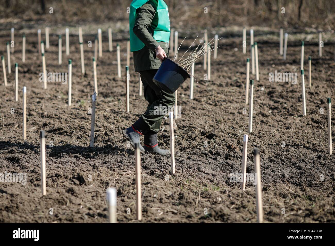Farmer planting trees hi-res stock photography and images - Alamy