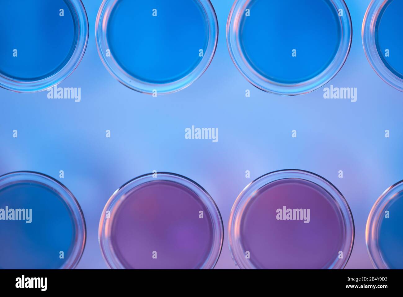 Directly from above close up flat lay shot of test-tubes with coloured ...