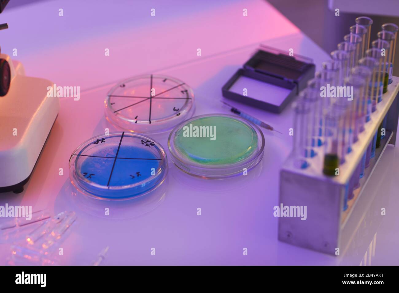 Test-tubes and petri dishes with specimens on desk in modern laboratory ...