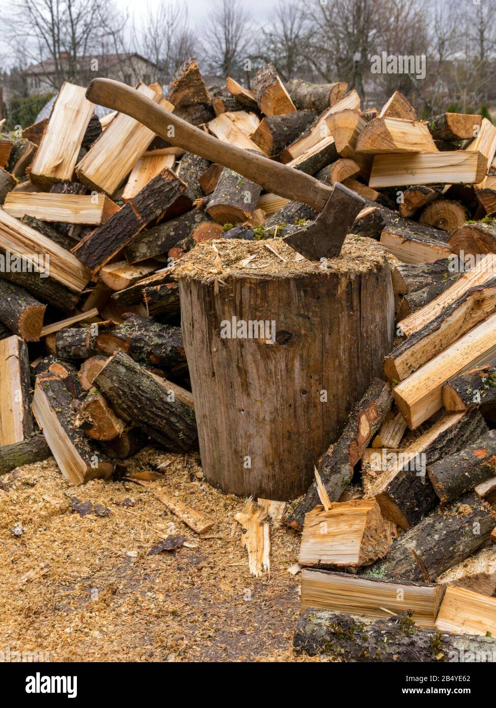 a landscape with a log of wood and an ax in the center, foreground and ...