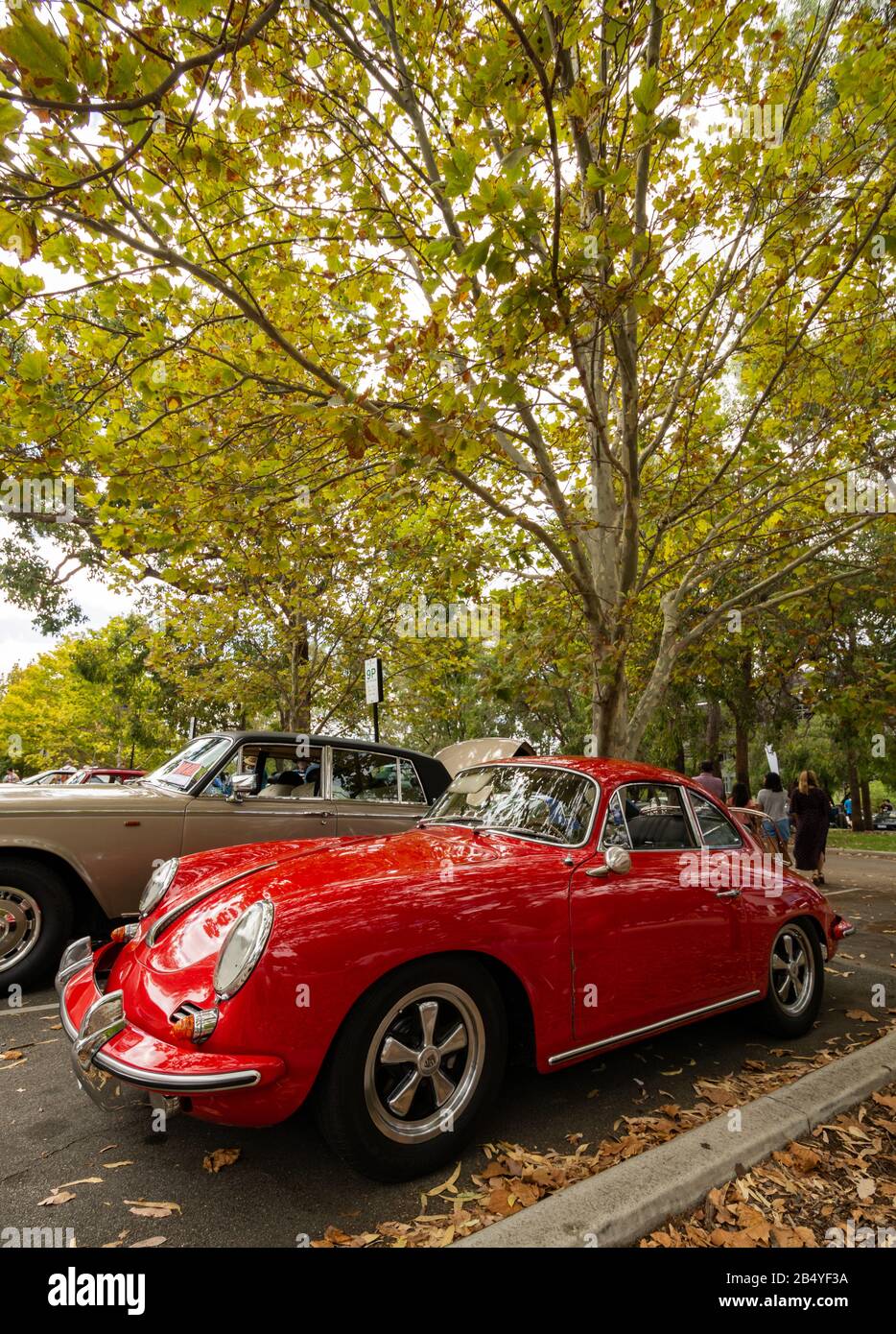 Porsche 356 Under Tree Stock Photo Alamy Porsche 356 Under Tree Stock Photo Alamy
