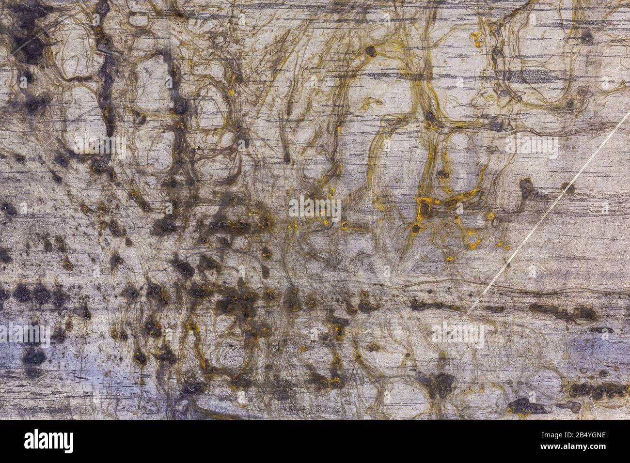 Cold Rolled Steel Texture