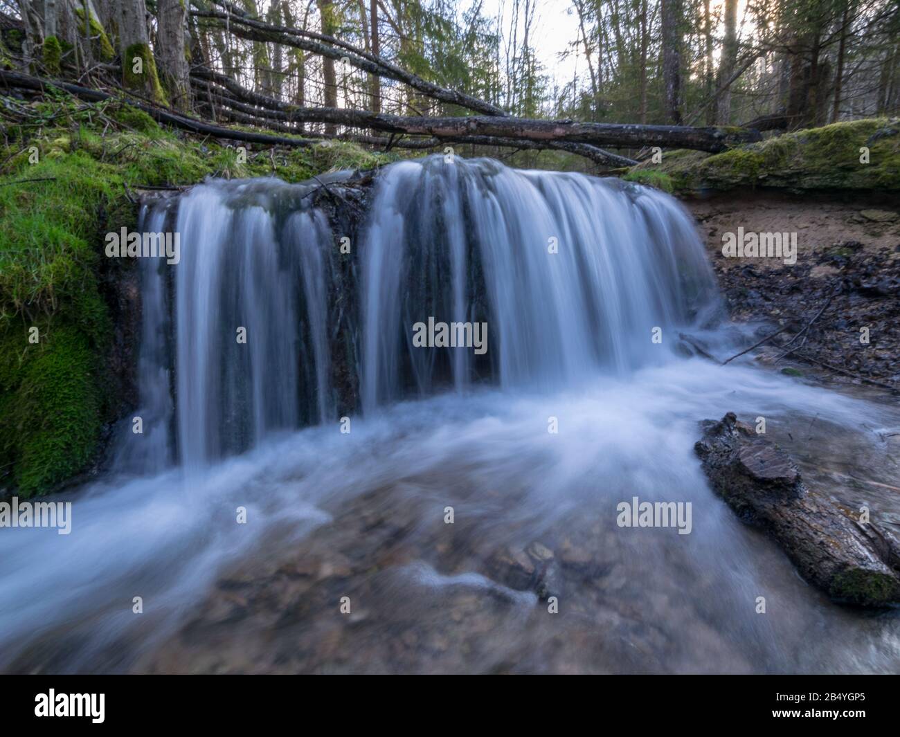 View of forest waterfall, deep forest waterfall landscape, mossy river ...