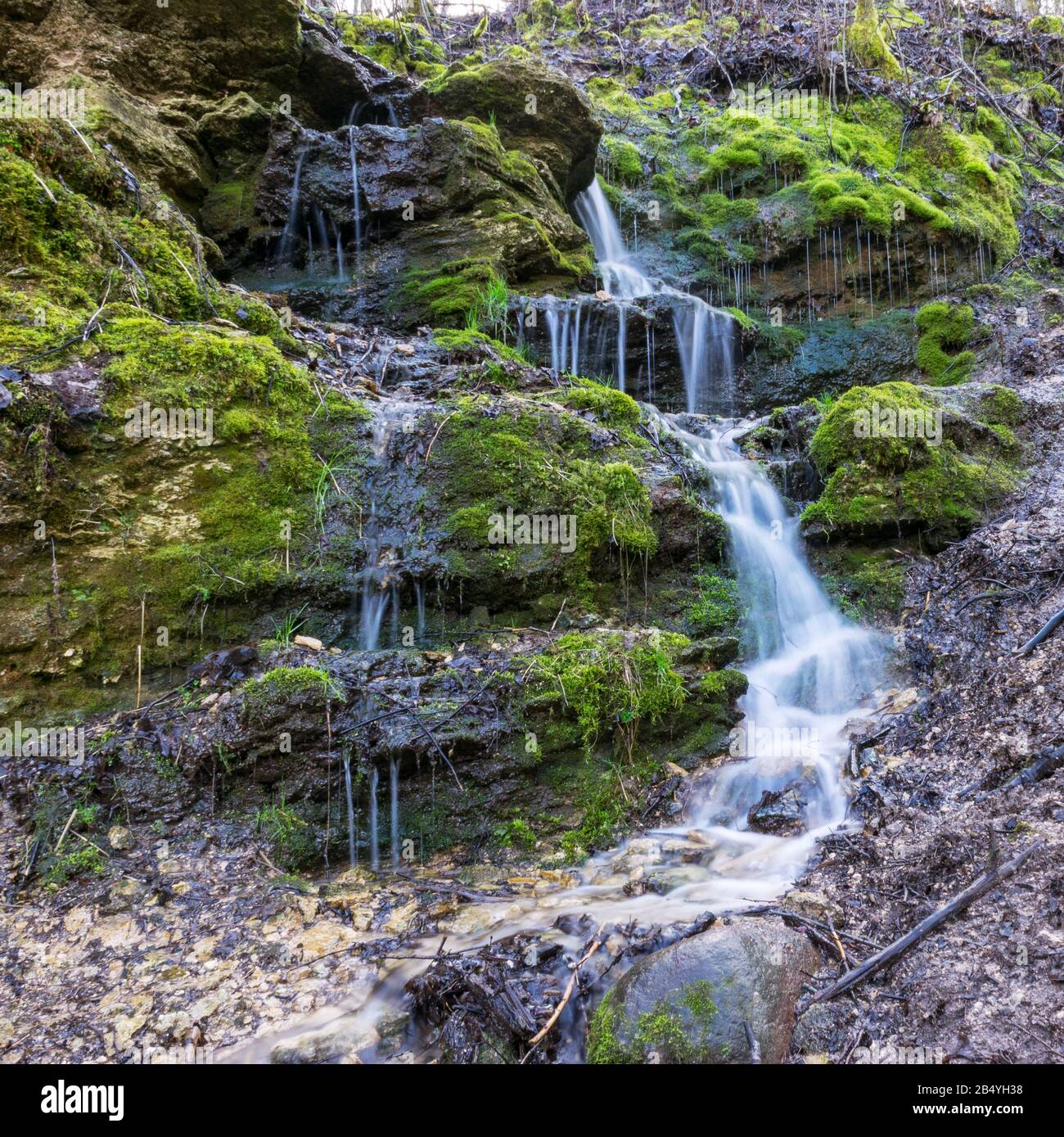 Overgrown river hi-res stock photography and images - Alamy
