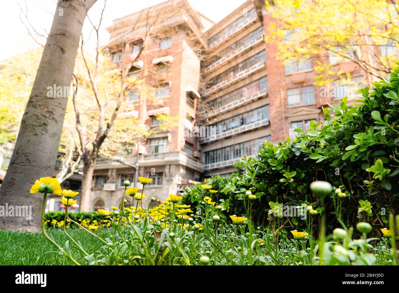 Shanghai wukang building hi-res stock photography and images - Alamy