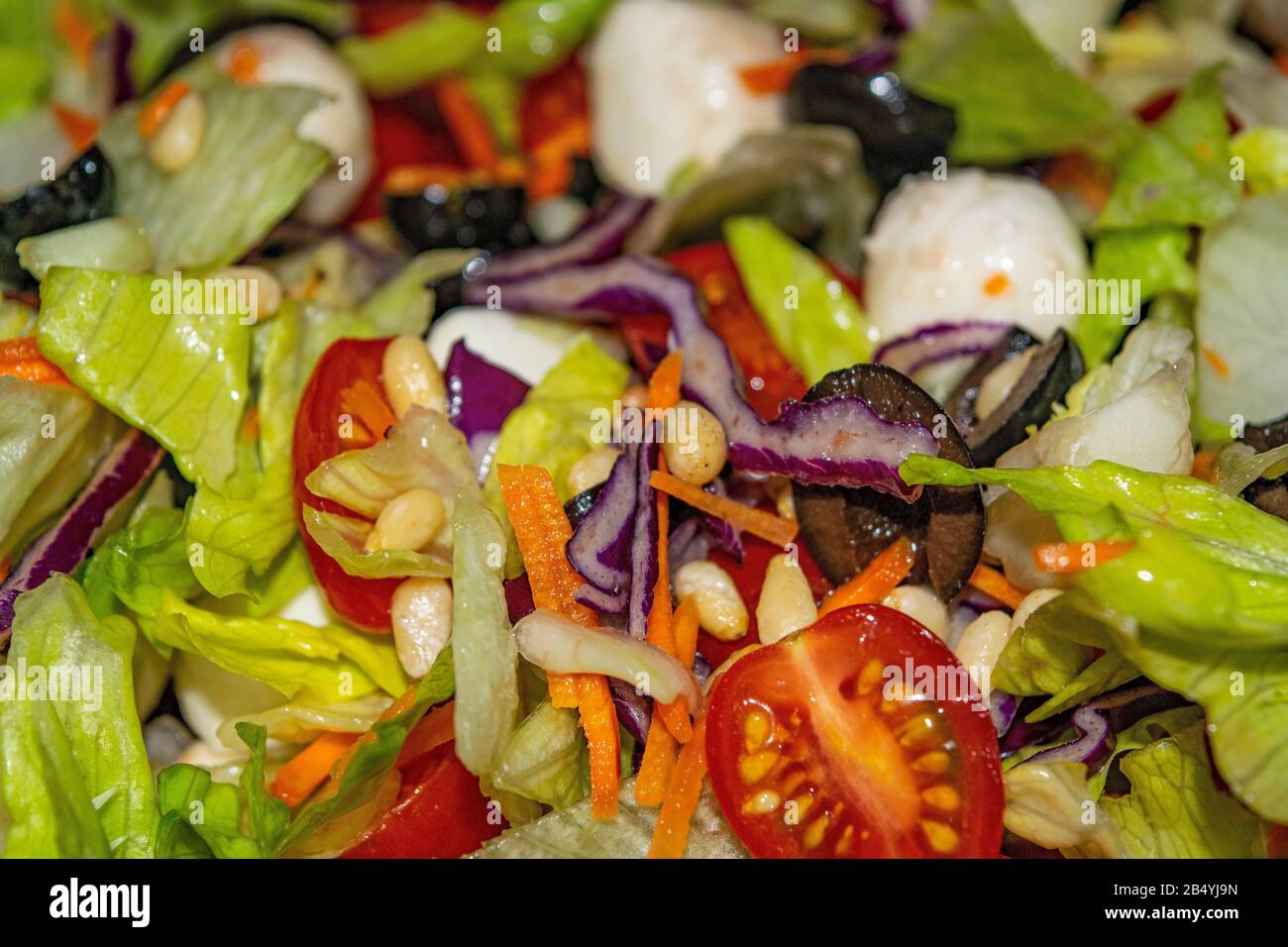 Vegetable salad with mozzarella.Surface texture. Close up Stock Photo ...