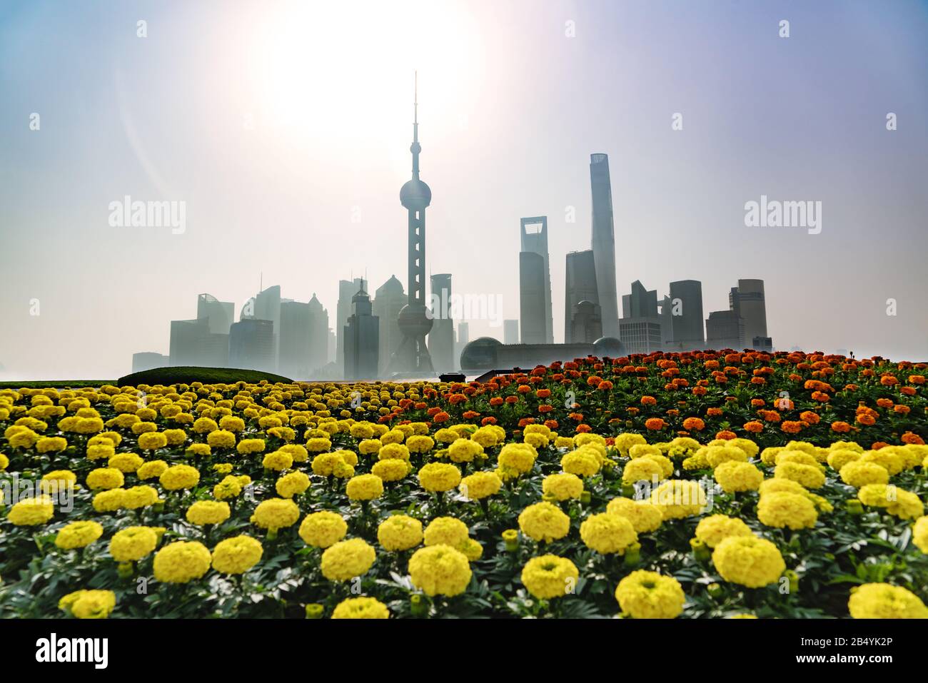morning landscape of the bund, huangpu riverside, shanghai city view ...