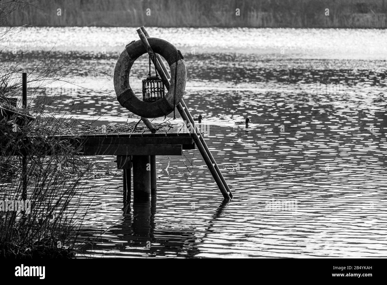 a small landing stage with a life ring is located at a lake Stock Photo ...