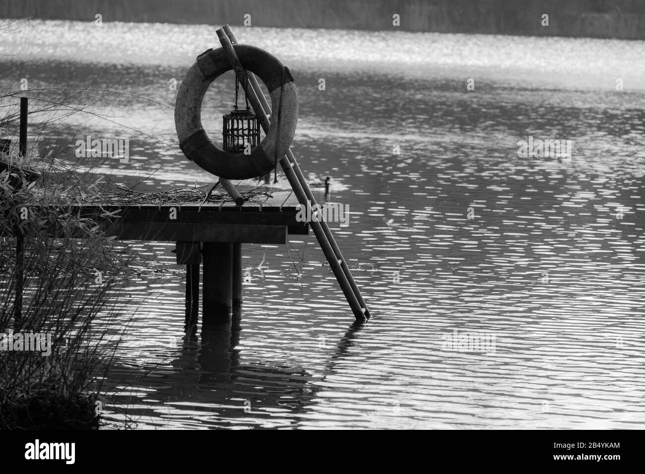 a small landing stage with a life ring is located at a lake Stock Photo ...