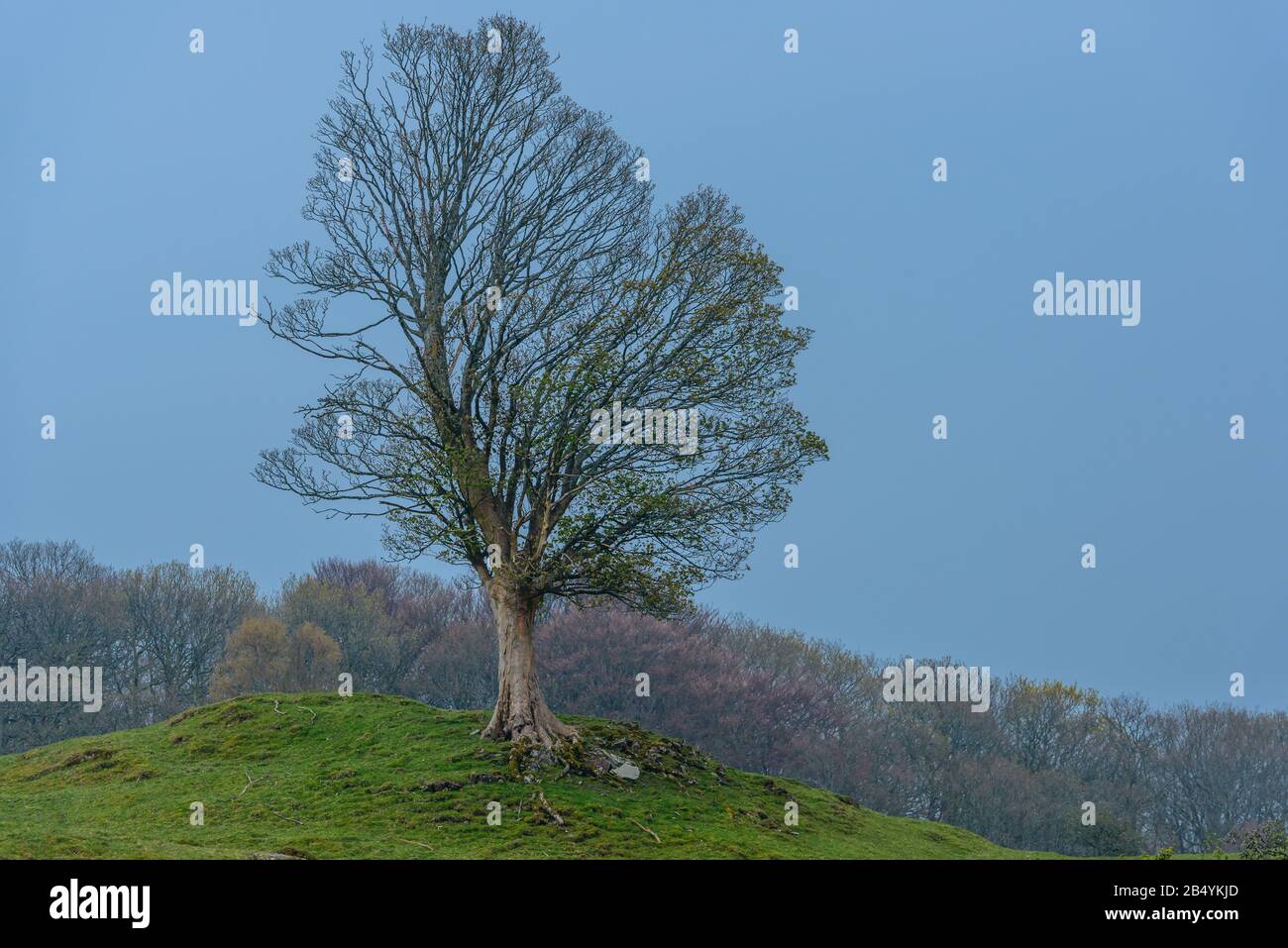 Hill top beatrix potter national trust hi-res stock photography and ...