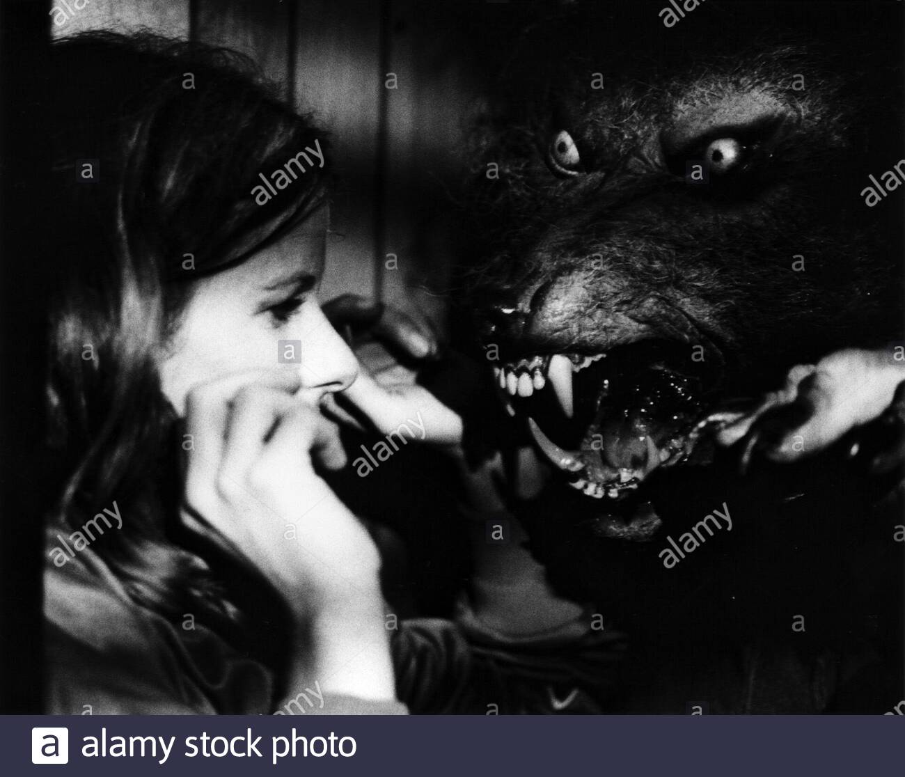 Dee Wallace High Resolution Stock Photography and Images - Alamy