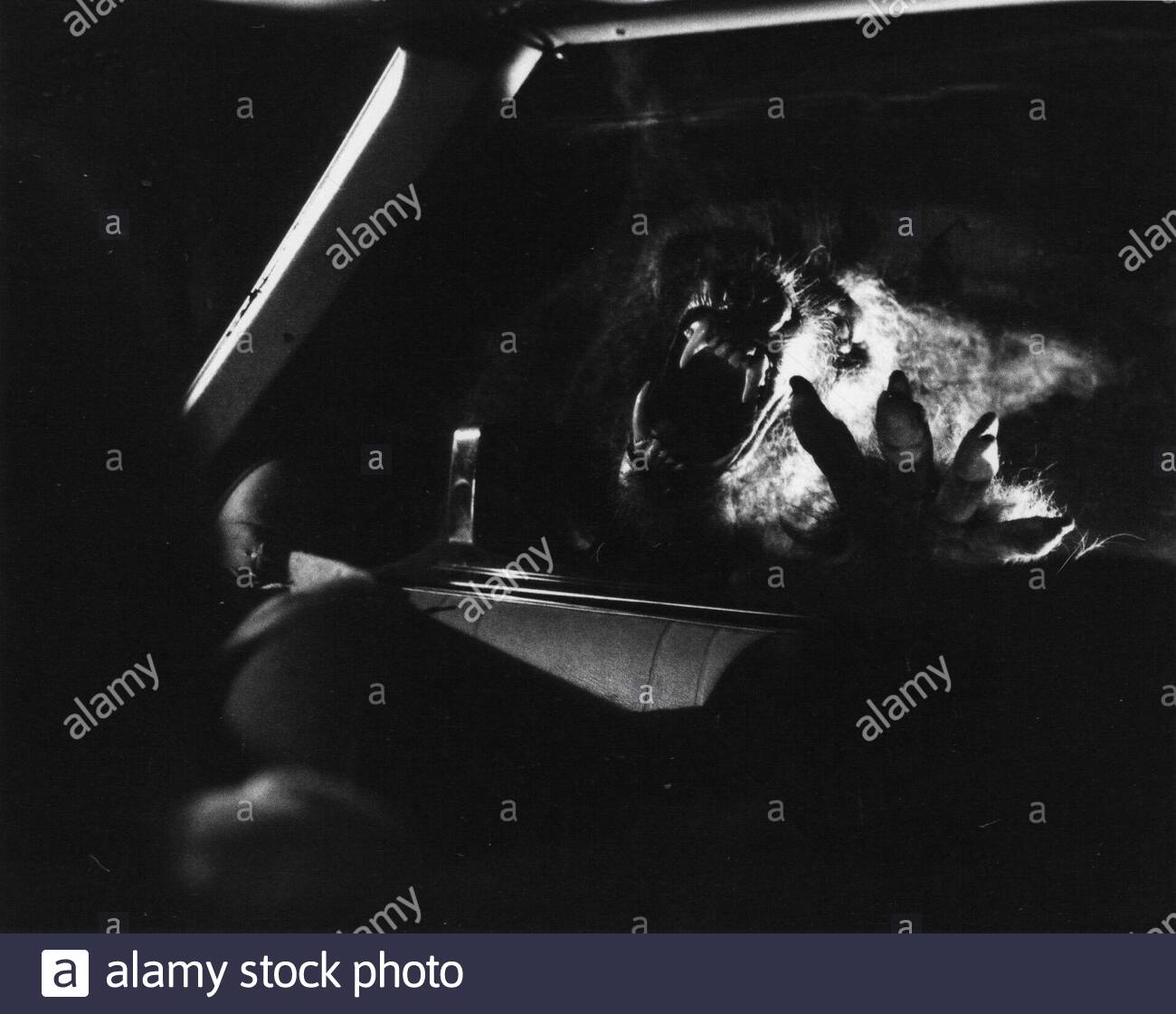 Dee Wallace Stone Christopher Stone Stock Photos & Dee Wallace Stone ...