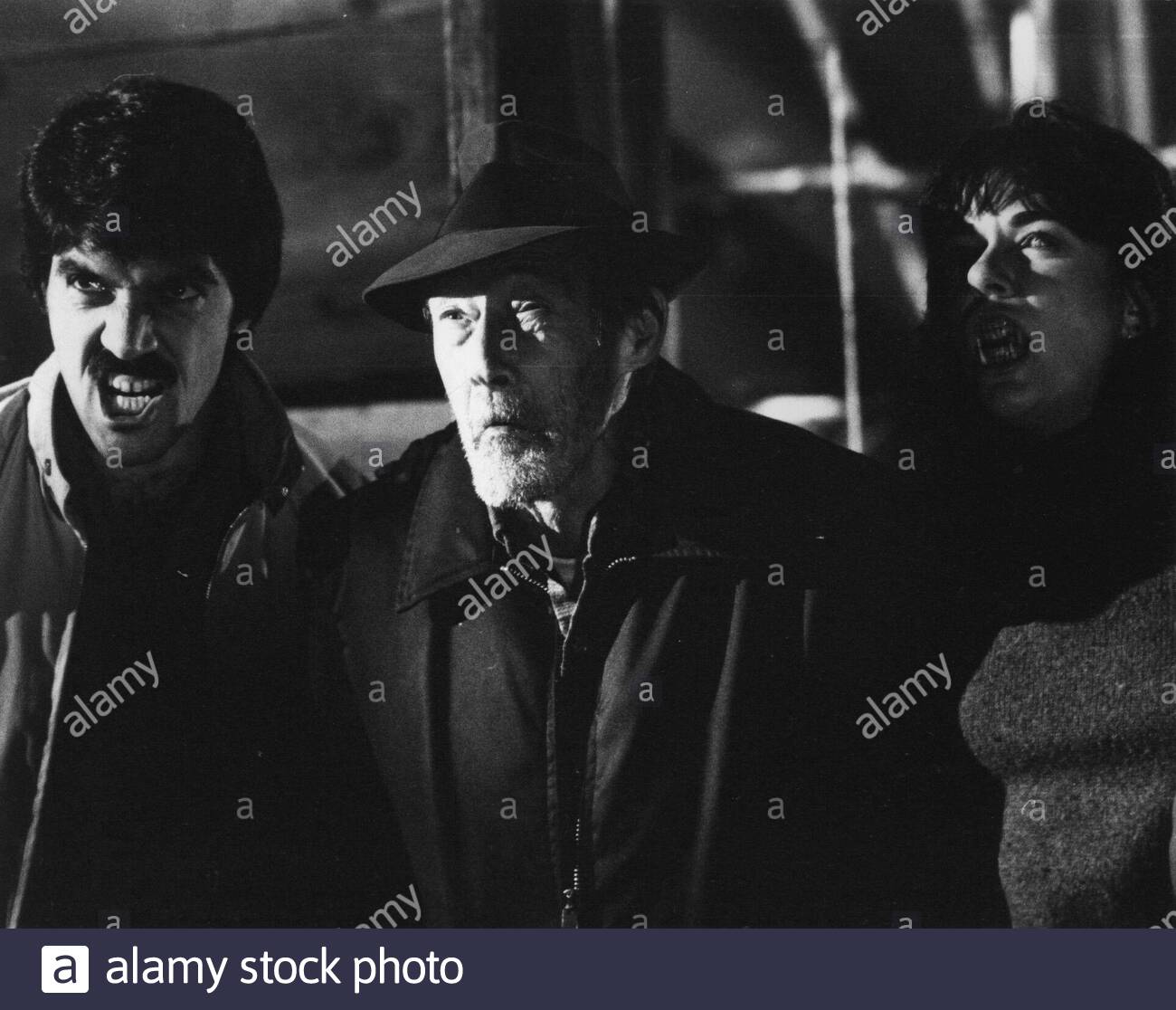 Dee Wallace Stone Christopher Stone Stock Photos & Dee Wallace Stone ...