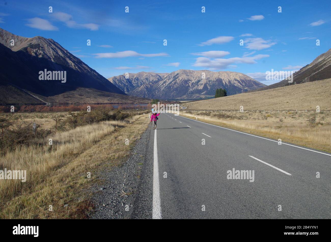 State Highway 73 alternative Te Araroa Trail route. South Island. New ...