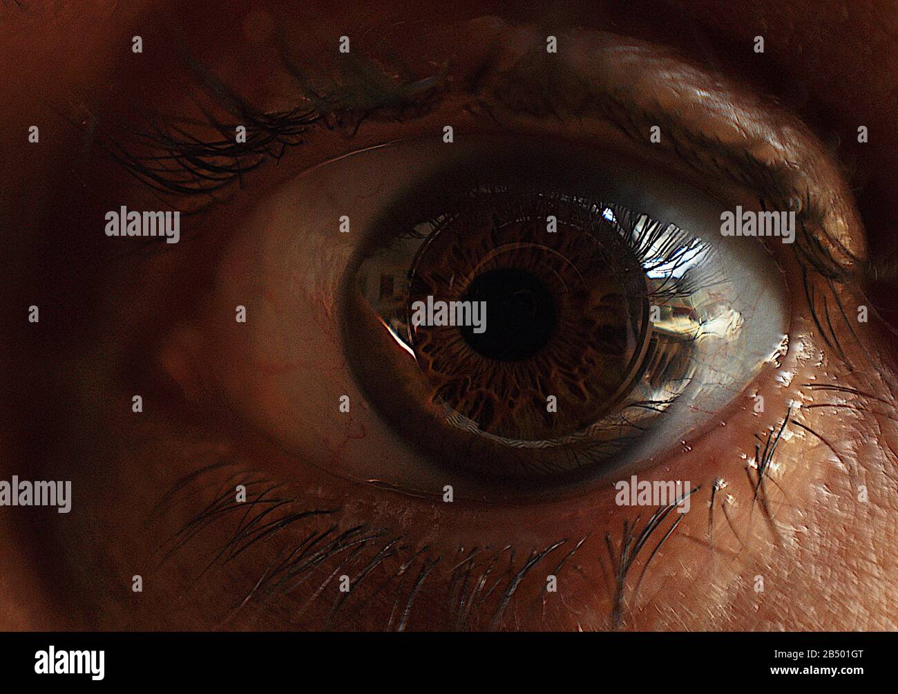 Parietal eye hi-res stock photography and images - Alamy
