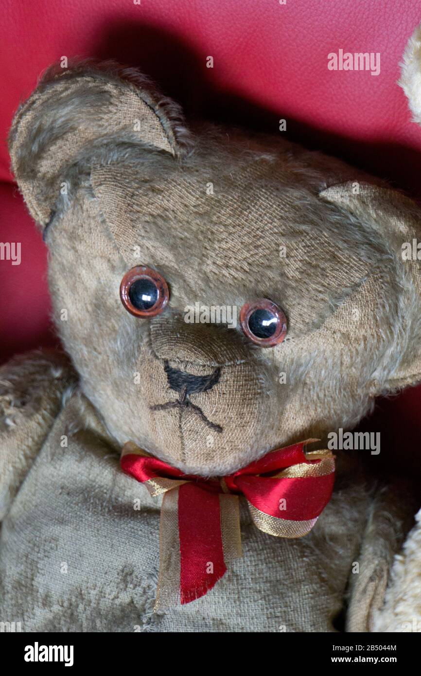 an old sad looking teddy bear in close up with a red and gold bow Stock ...