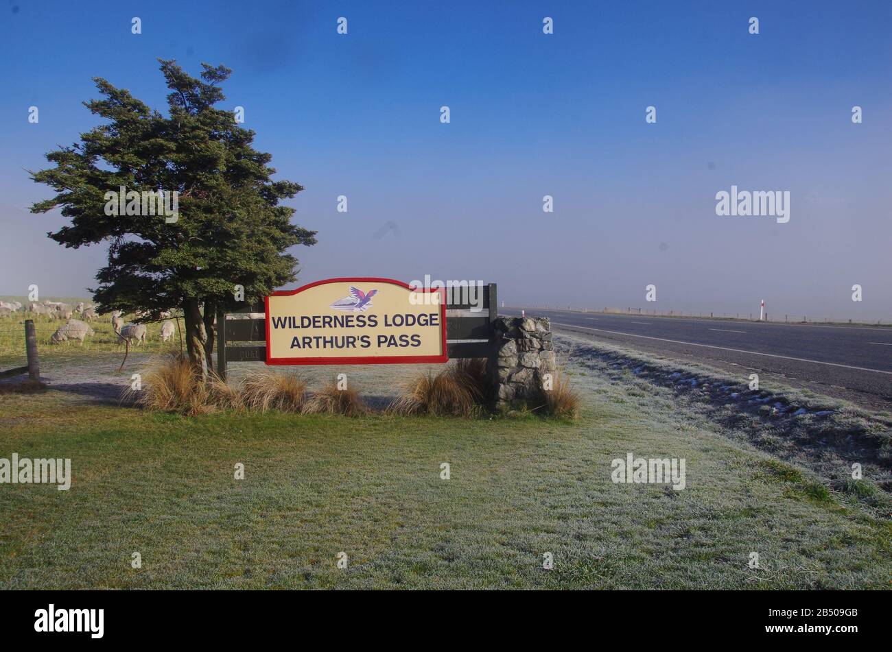 State Highway 73 alternative Te Araroa Trail route. South Island. New ...