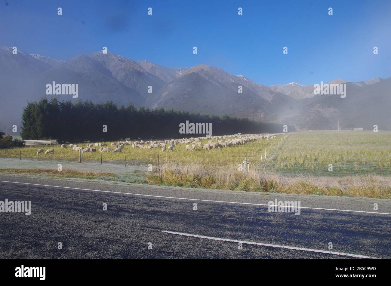 State Highway 73 alternative Te Araroa Trail route. South Island. New ...