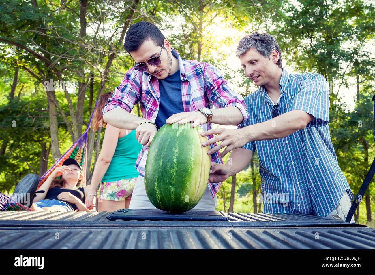 group of young adults have fun and eating slices of watermelon outdoors ...