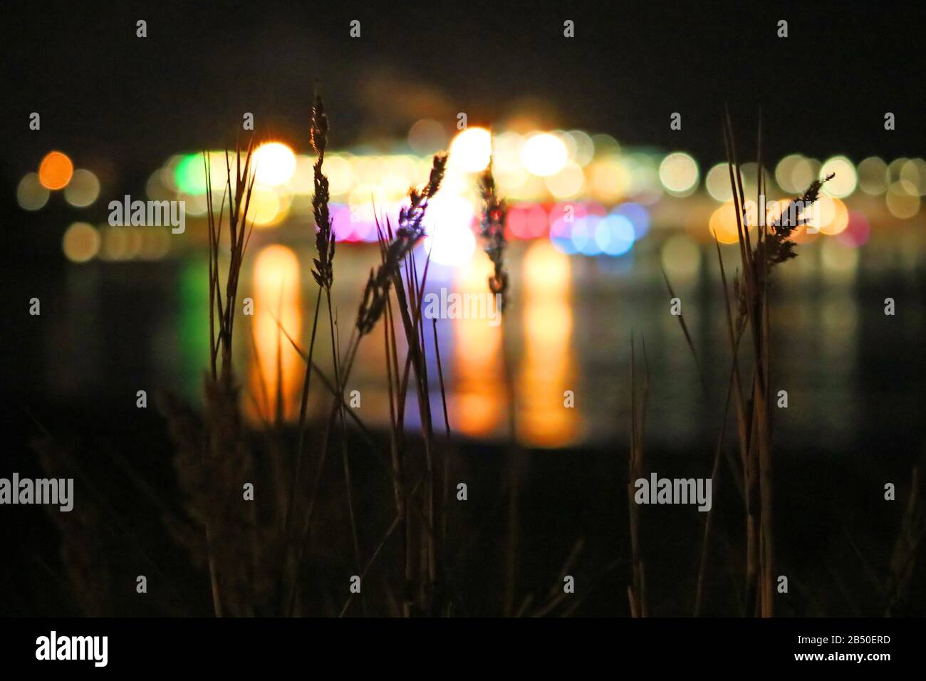 Night city street lights bokeh background and blade of grass in the ...