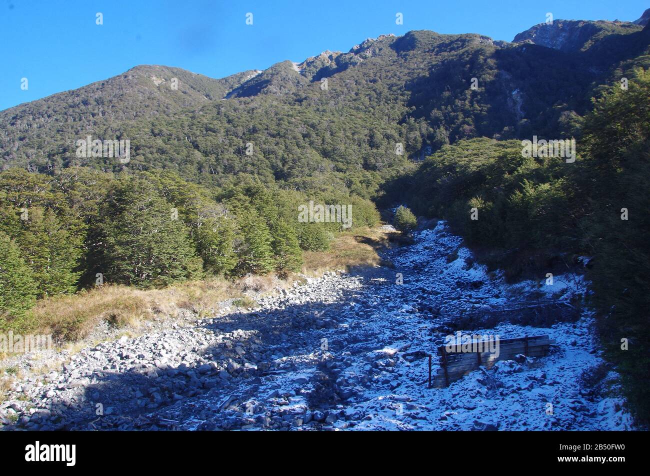 State Highway 73 alternative Te Araroa Trail route. South Island. New ...