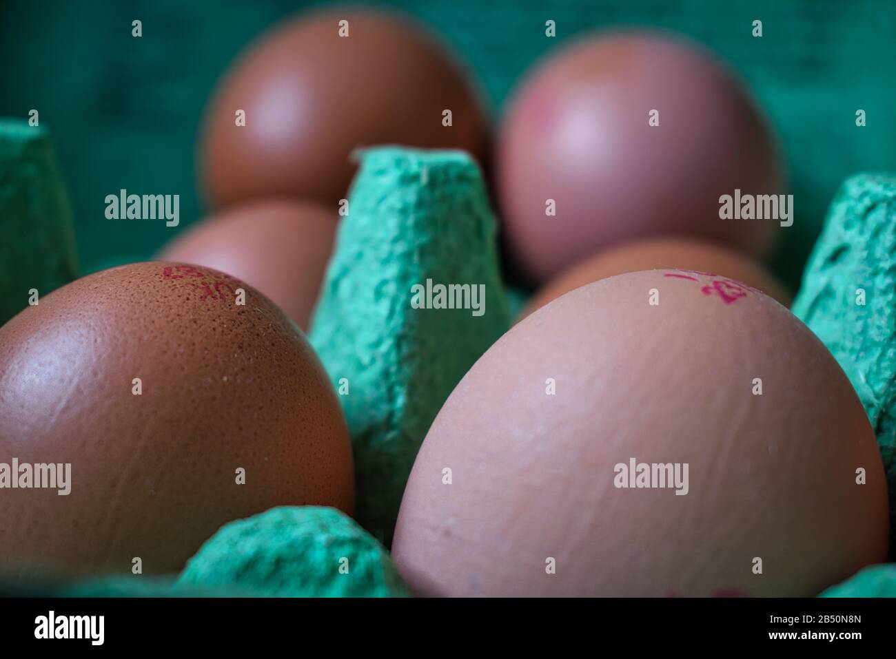 Eggs in an egg box, close up Stock Photo - Alamy