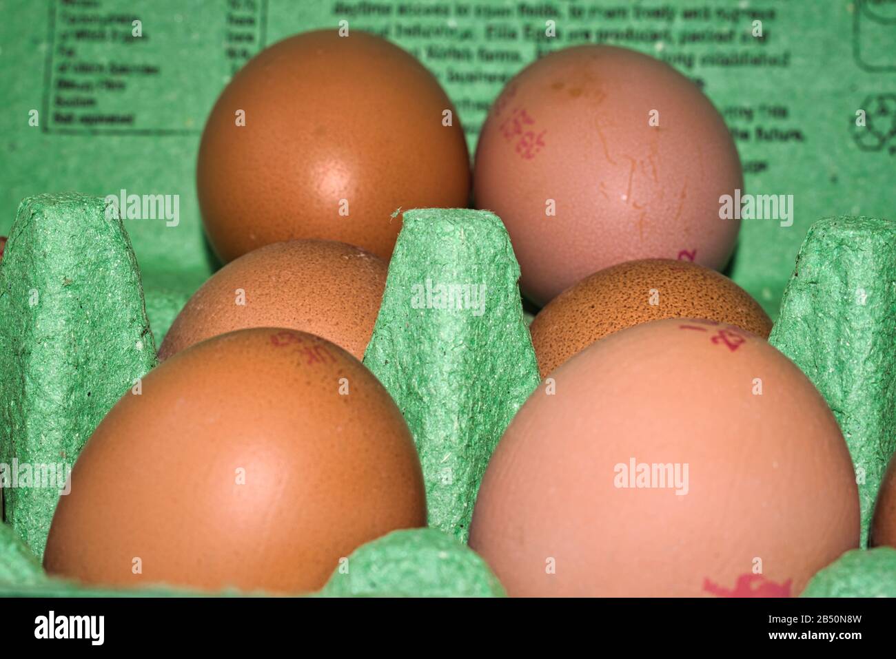 Eggs in an egg box, close up Stock Photo - Alamy