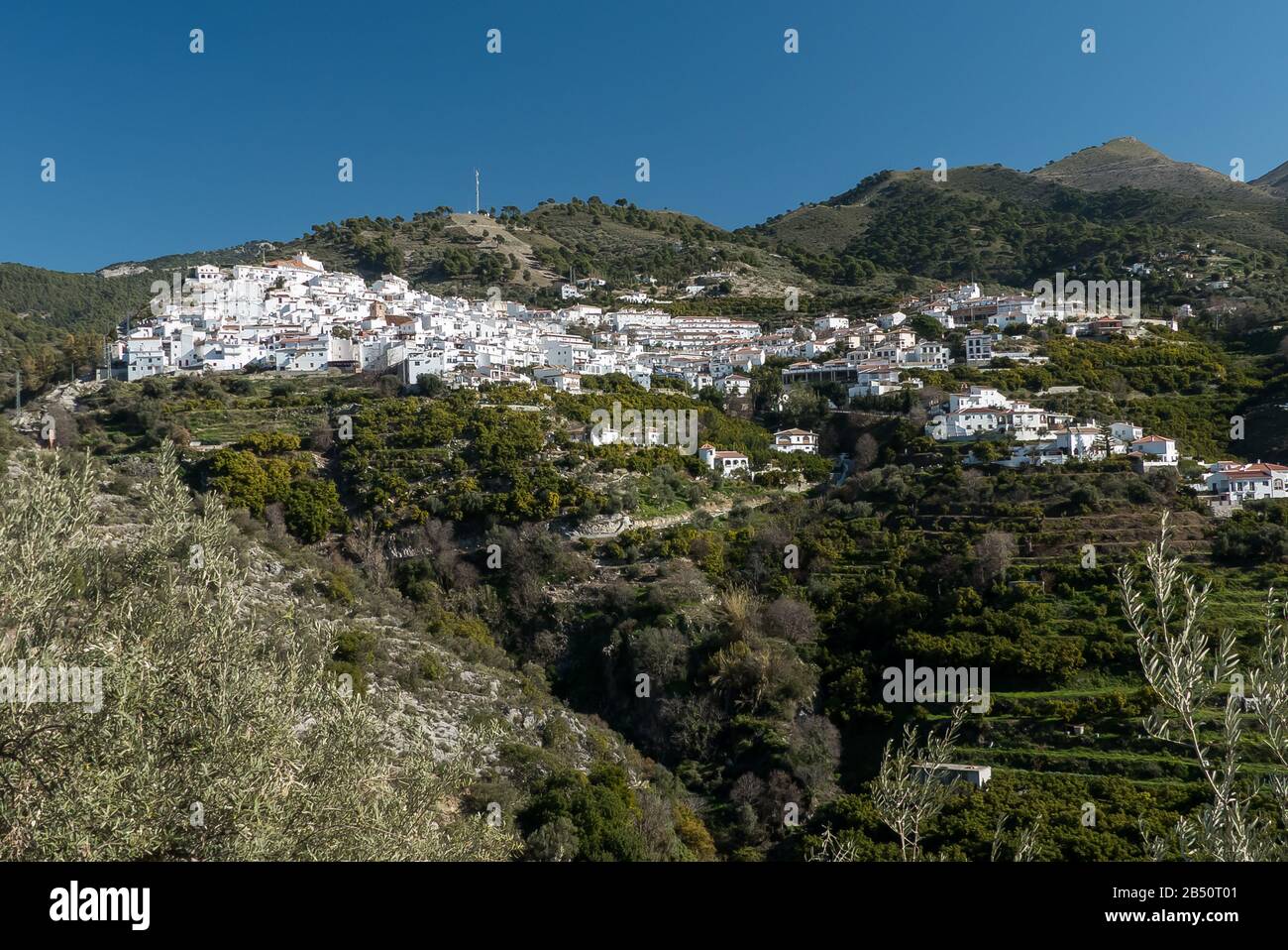 Andalucia in Spain: the pretty pueblo blanco of Canillas de Albaida ...