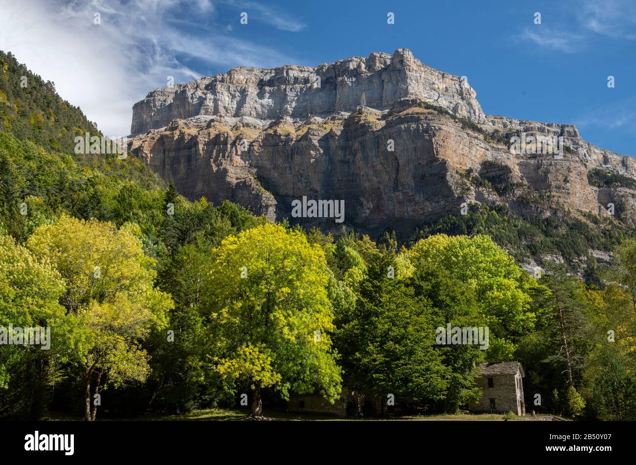 Limestone cliffs and montane pine and beech woodland in the Ordesa y ...