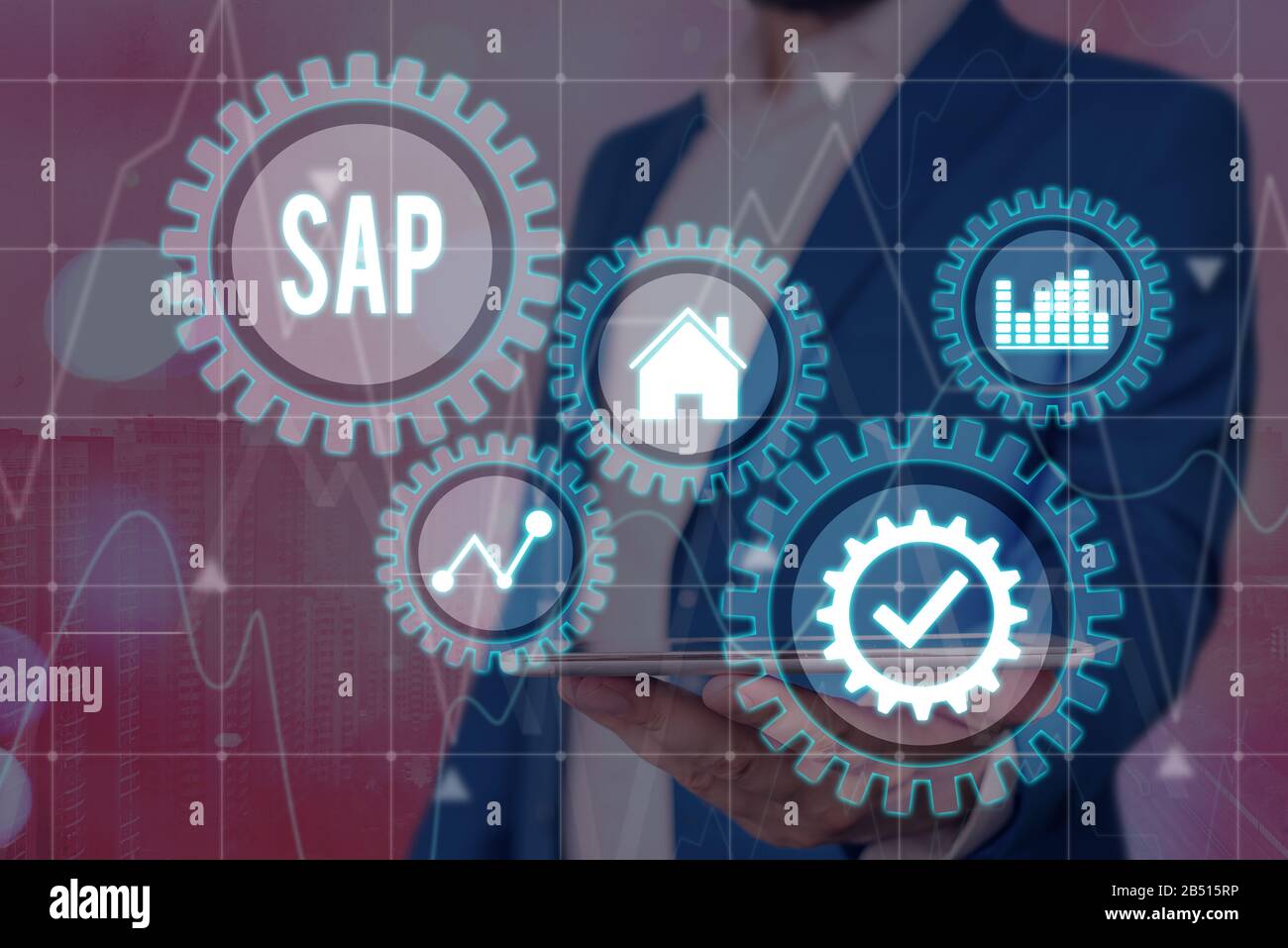 Text sign showing SAP. Business photo showcasing SAP Business process ...