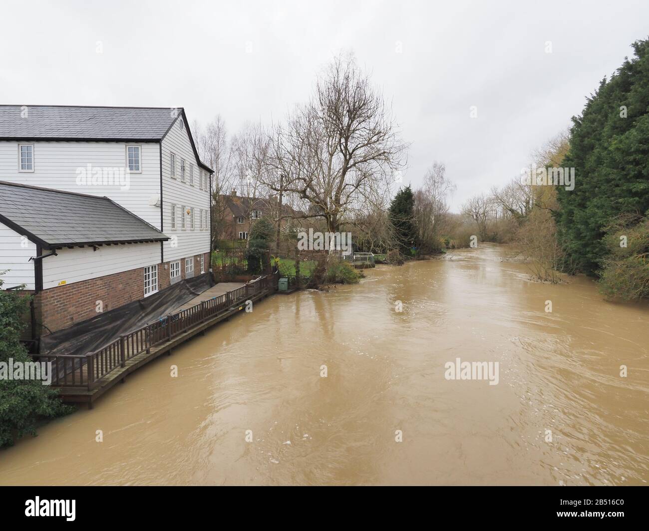 Beult hi-res stock photography and images - Alamy