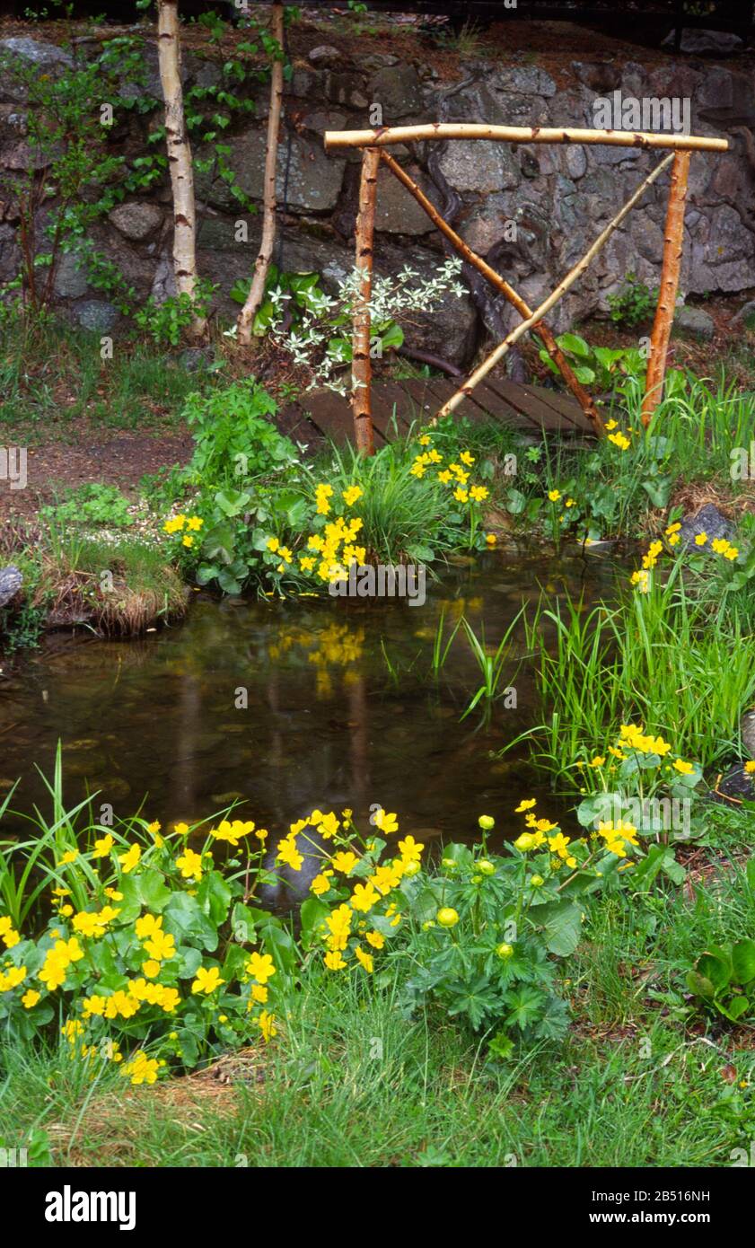 Flowers around pond hi-res stock photography and images - Alamy