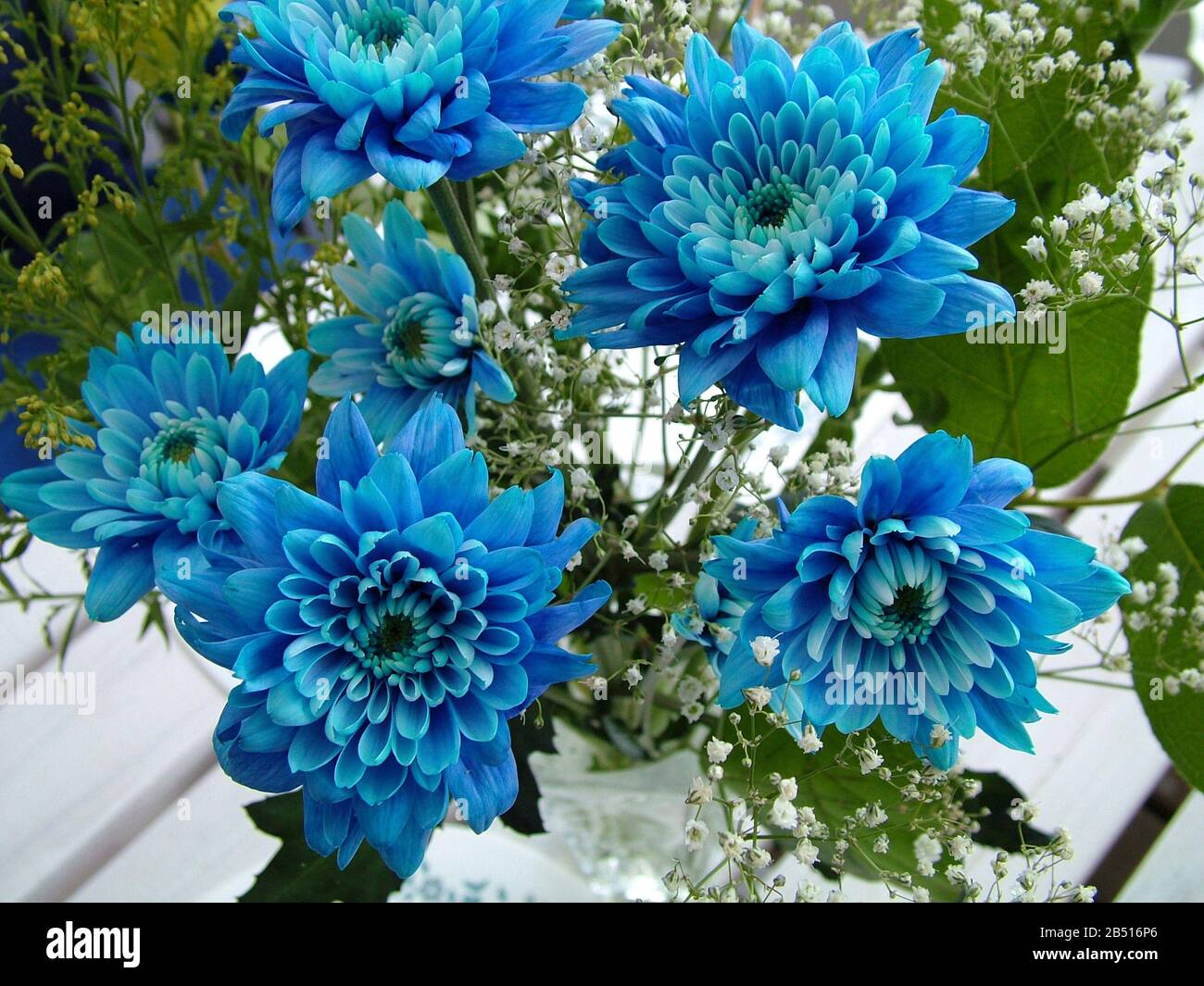 Blue dahlia bouquet Stock Photo - Alamy