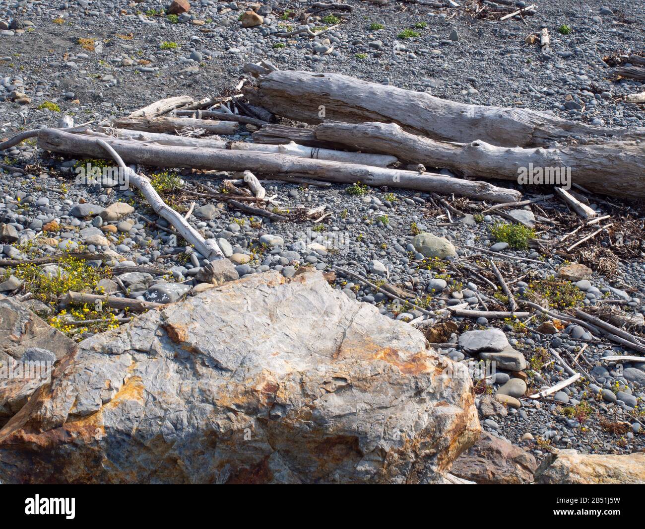 Wood on rocks hi-res stock photography and images - Alamy