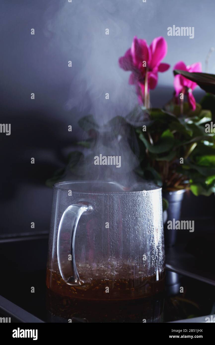 Natural infusion boiling in transparent glass pot on ceramic cooking ...