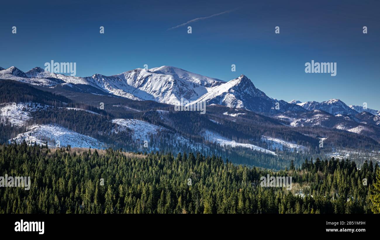 Blue sky, snowy mountain and green forest in Tatras Stock Photo - Alamy