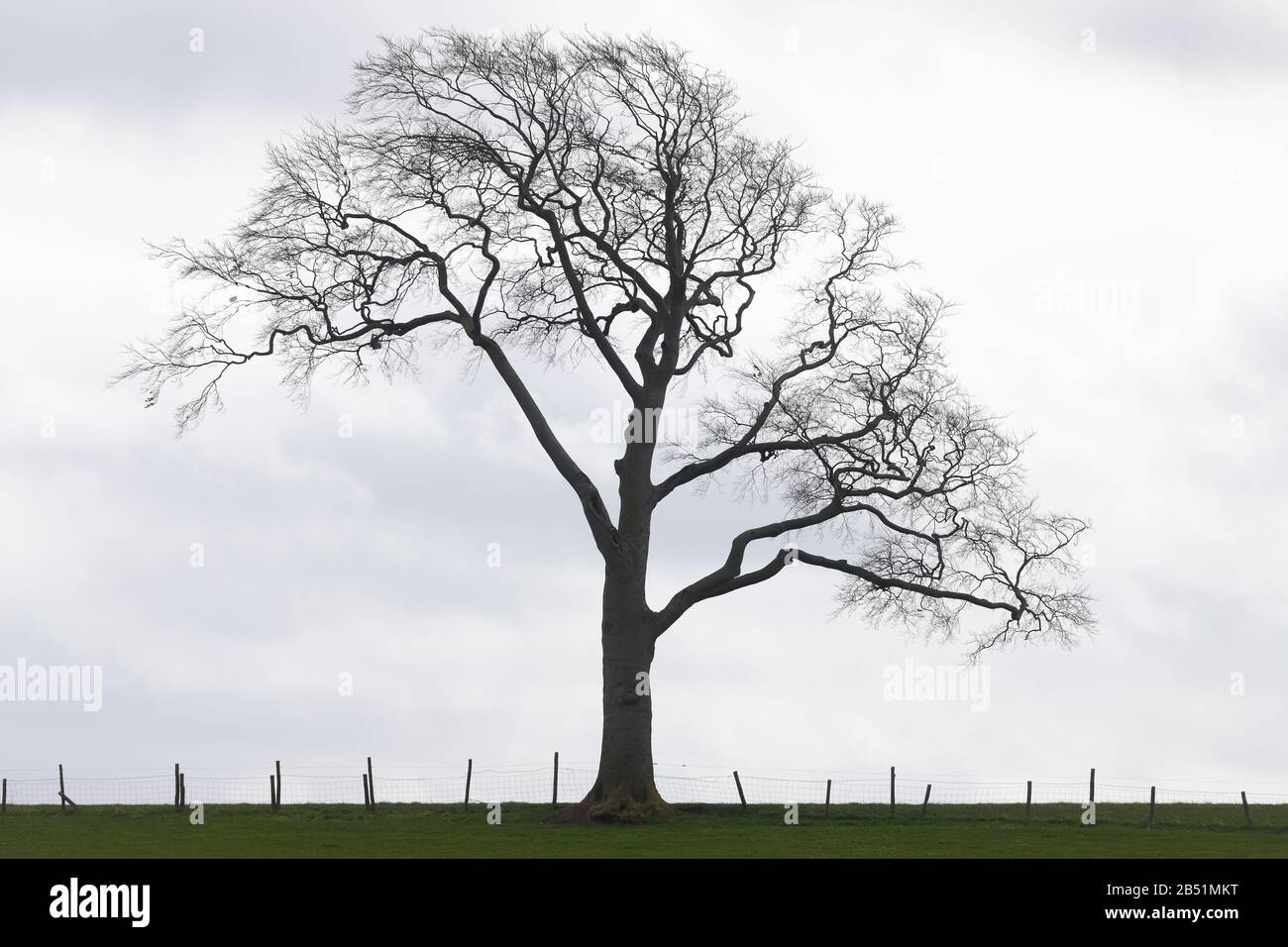 On The Brow Of The Hill High Resolution Stock Photography and Images ...