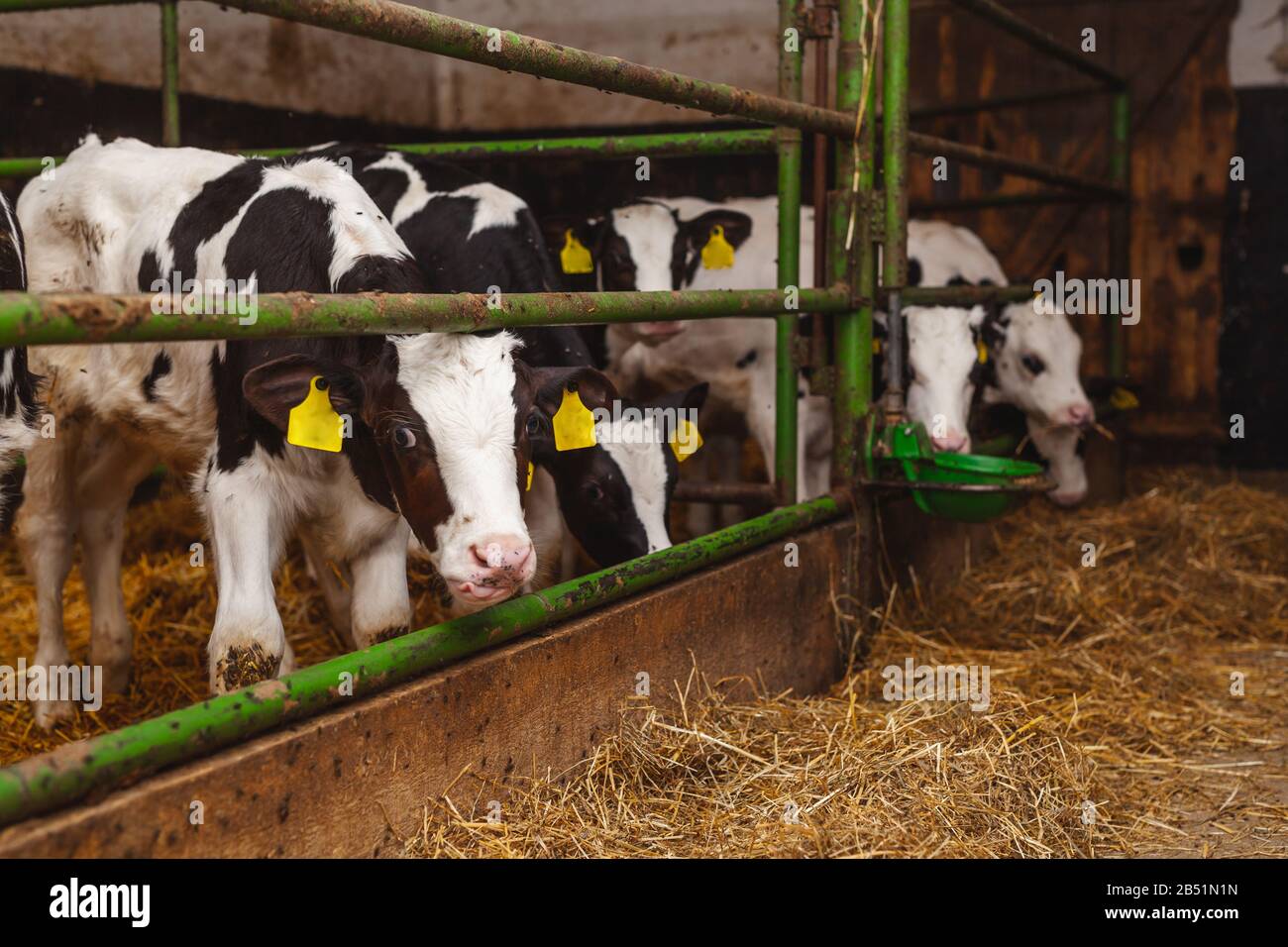 Animal feed production rural countryside hi-res stock photography and ...