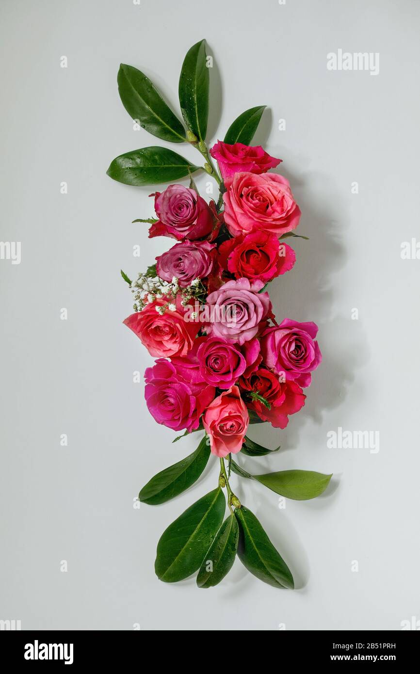 Creative layout beautiful rose hi-res stock photography and images - Alamy