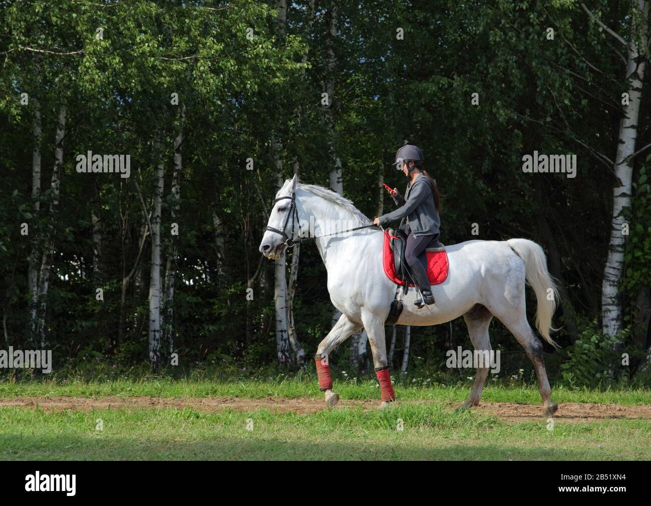 Beautiful girl riding horseback in woods glade at sunsetBeautiful girl ...
