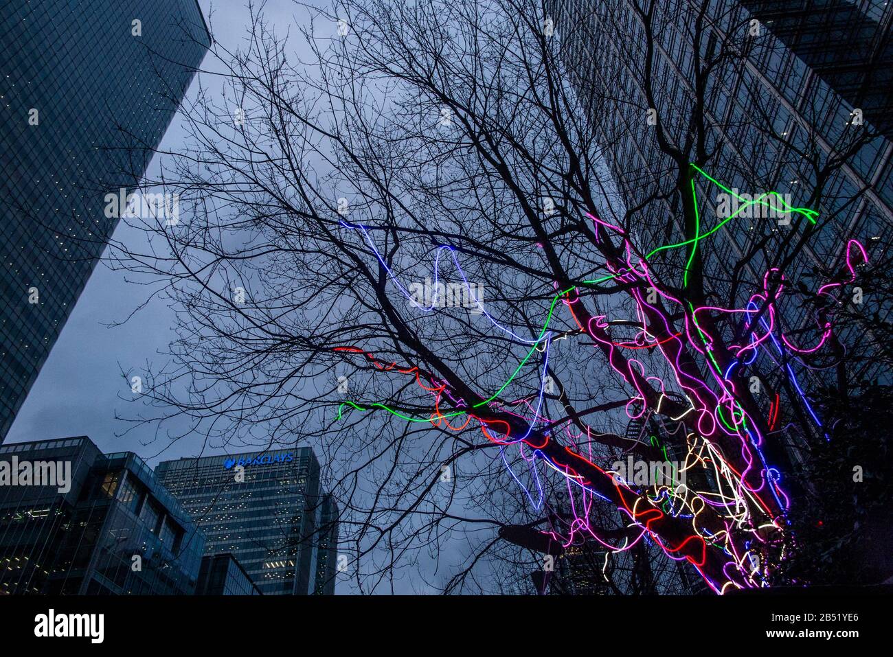 Winter solstice lights in a tree below skyscrapers at Canary Wharf ...