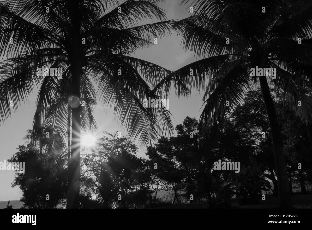 Lens flare landscape Black and White Stock Photos & Images - Alamy