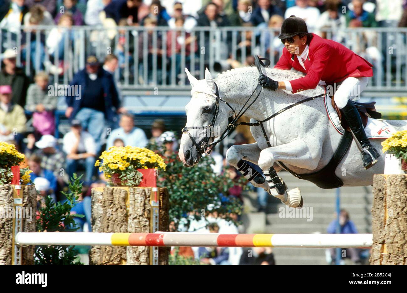 Anglo arab horse hi-res stock photography and images - Alamy