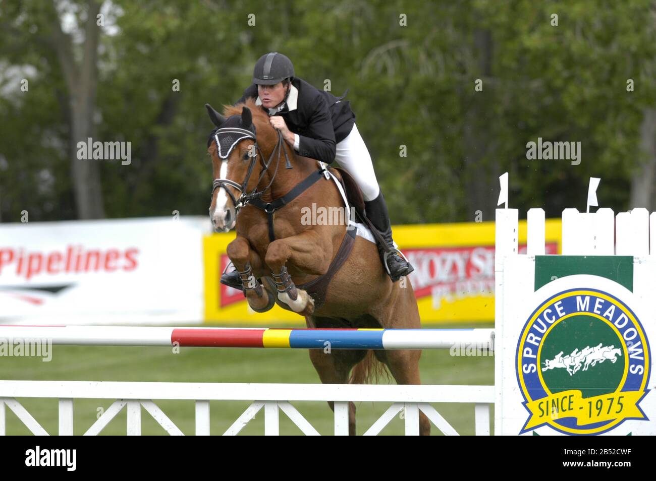 The National, Spruce Meadows June 2002, Bruce Goodin (NZL) riding Honor ...