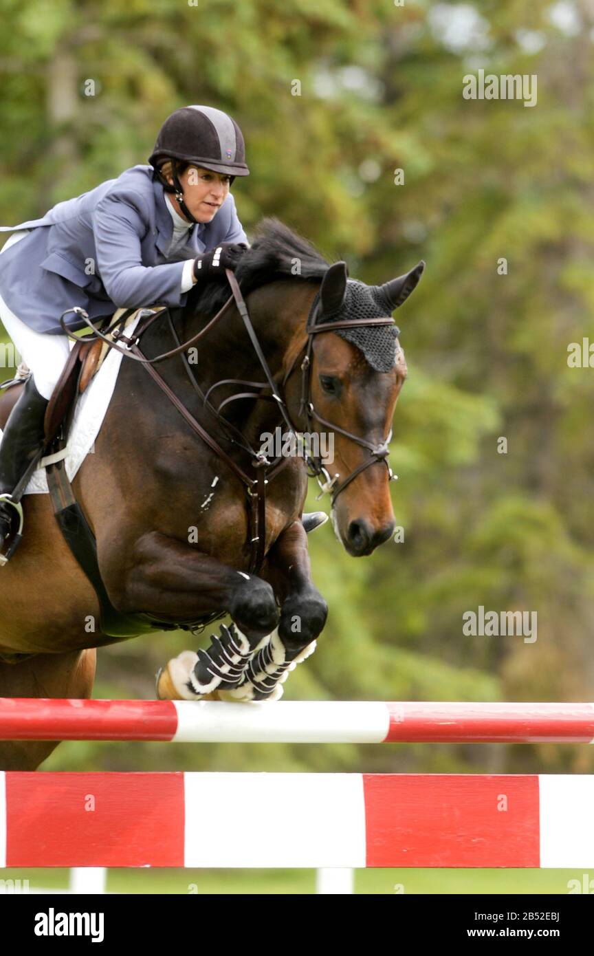 The North American Spruce Meadows 2004, Ensign Welcome, Laura Kraut ...