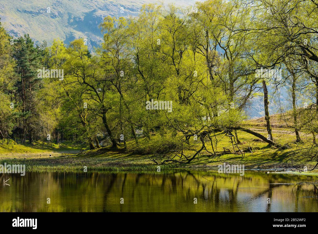 Small mound hi-res stock photography and images - Alamy