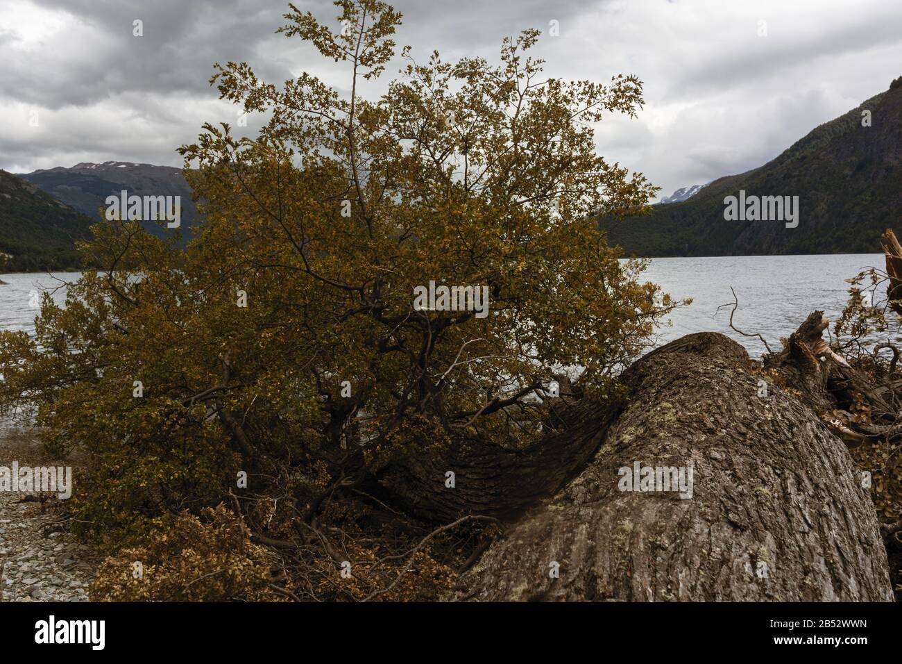 Playa del frances hi-res stock photography and images - Alamy